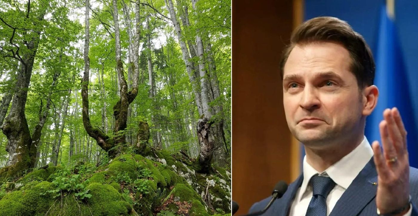 Orgo ~ Community Platform